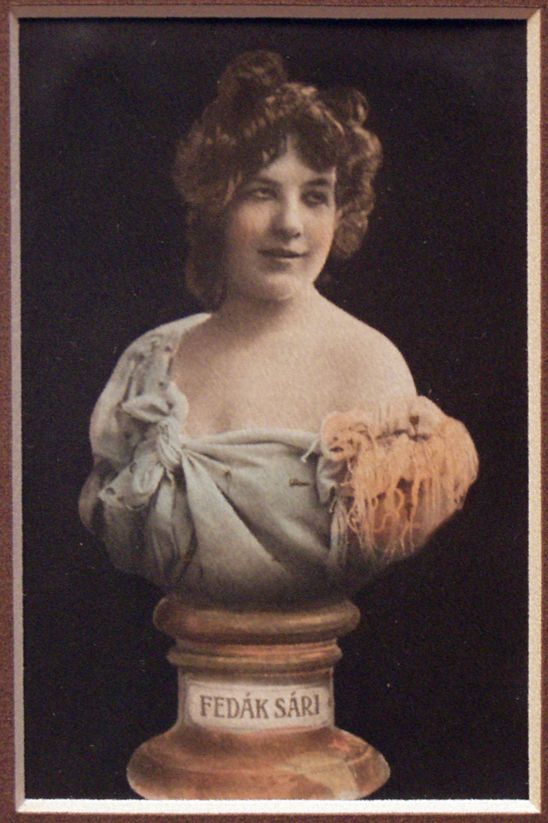 Fedák Sári, az egyik legnagyobb primadonna története, aki semmi mást ...
