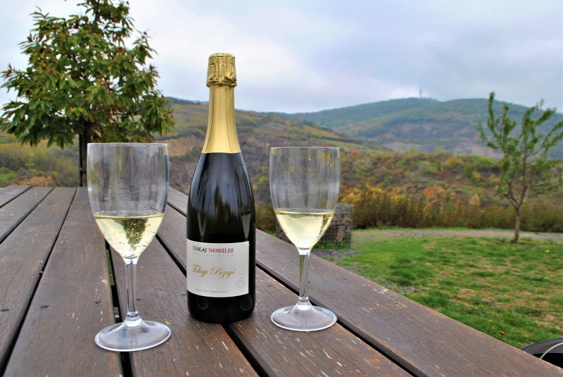 Tokaj-Hegyalja ékköve és a tokaji borkultúra ősi fészke: Tarcal