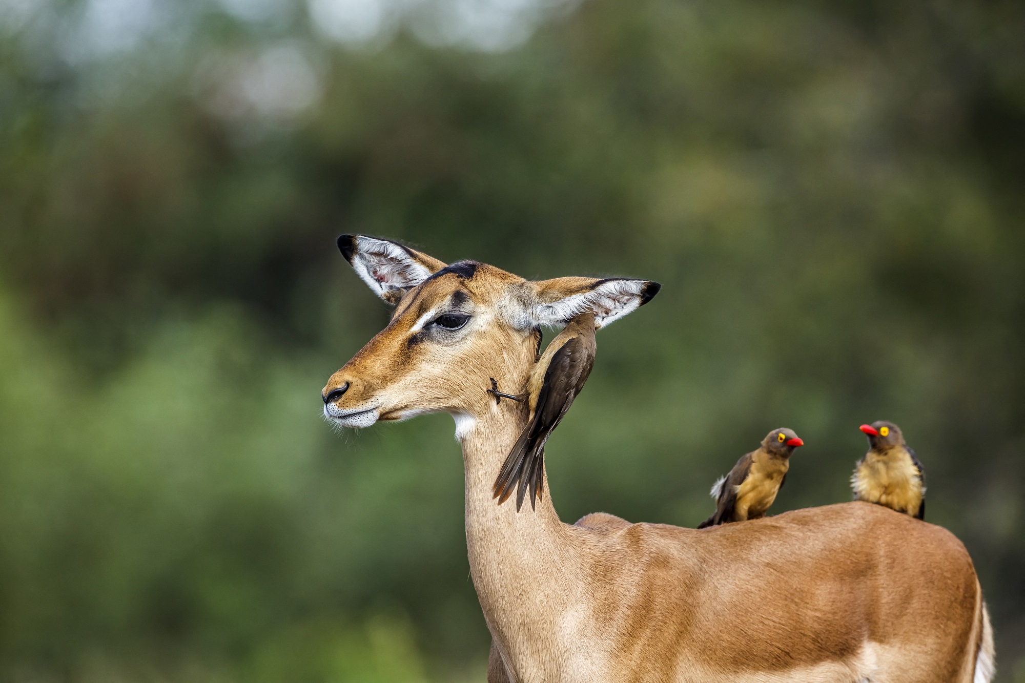 A nap legjobb fotói - október 31.