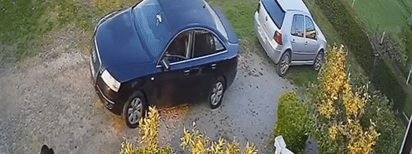 Tények - Testével védte fiát az ütközés közben